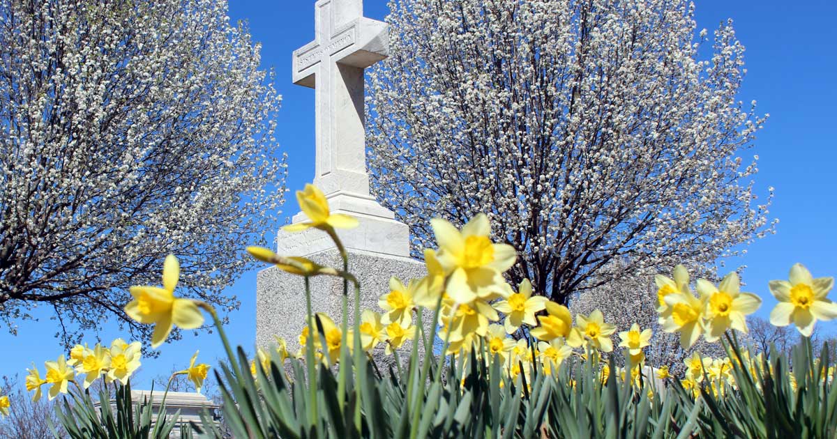 Create living memorial at Calvary in spring | DOLR.org