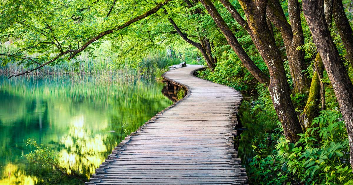 School of Spiritual Direction | DOLR.org